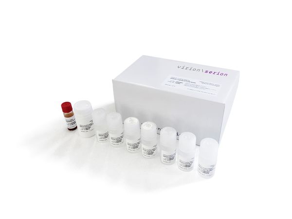 SERION coupling kits | SERION Immunologics